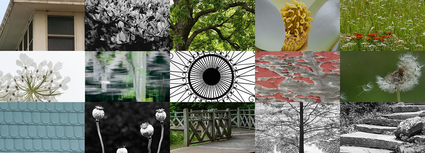 Home - Gilcrease Museum